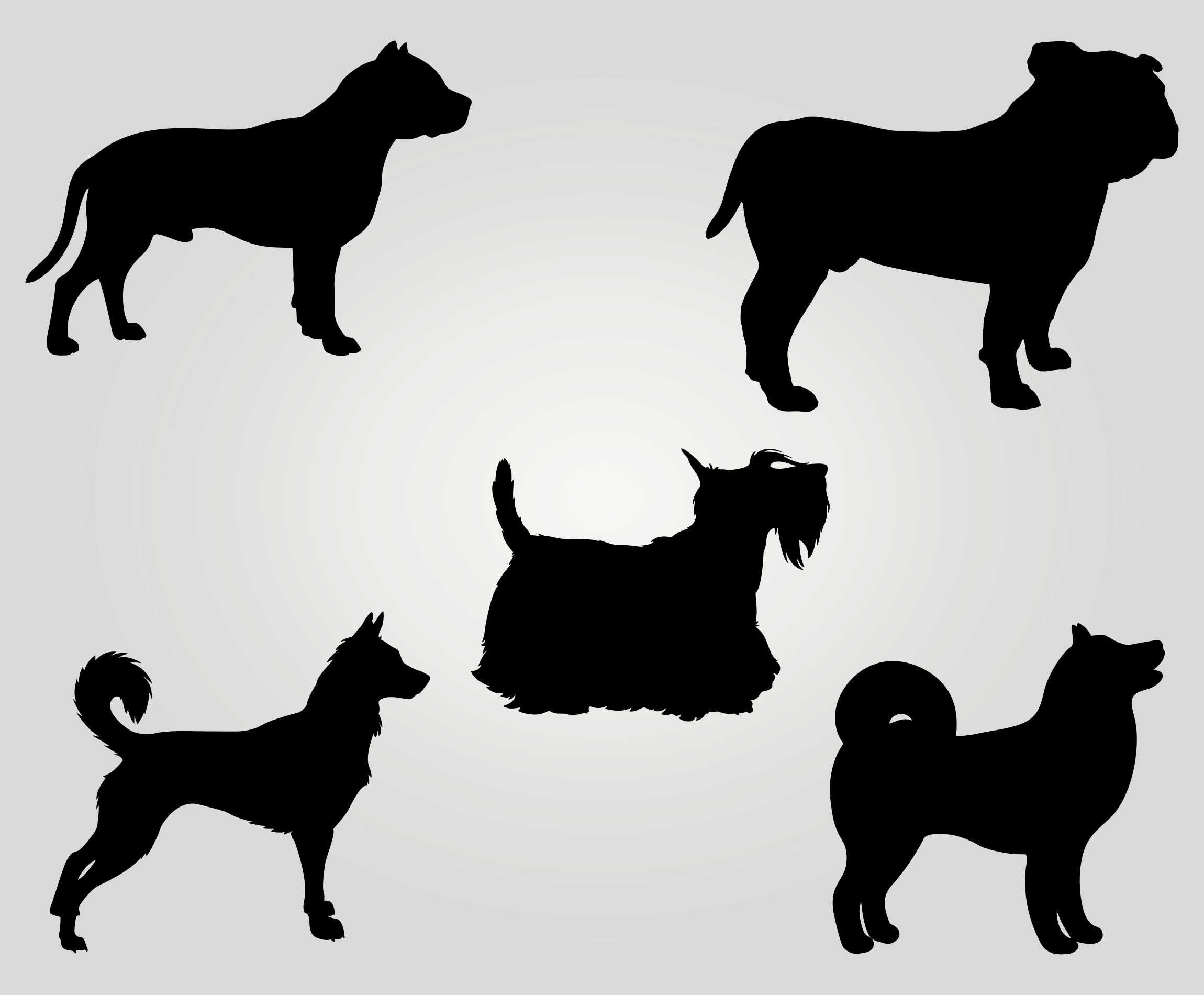 Dog SVG Bundle Dog Svg Dog Breeds Svg Dog Lover Svg | Etsy