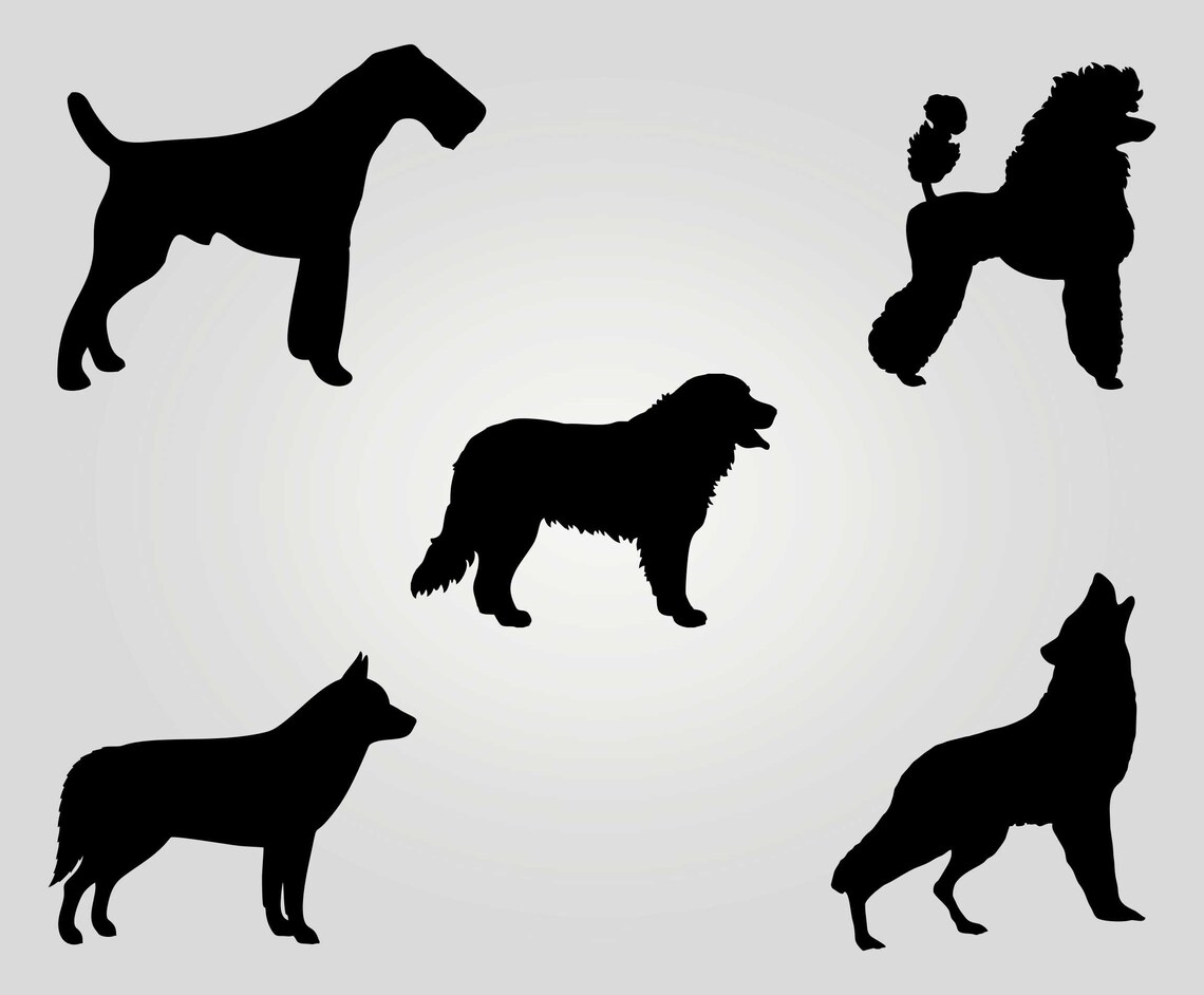 Dog SVG Bundle Dog Svg Dog Breeds Svg Dog Lover Svg | Etsy