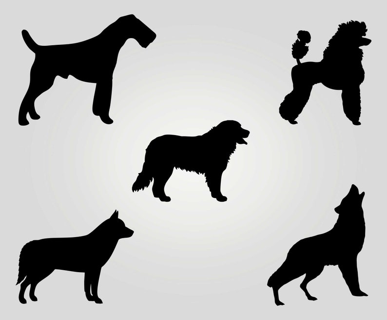 Dog SVG Bundle Dog Svg Dog Breeds Svg Dog Lover Svg - Etsy