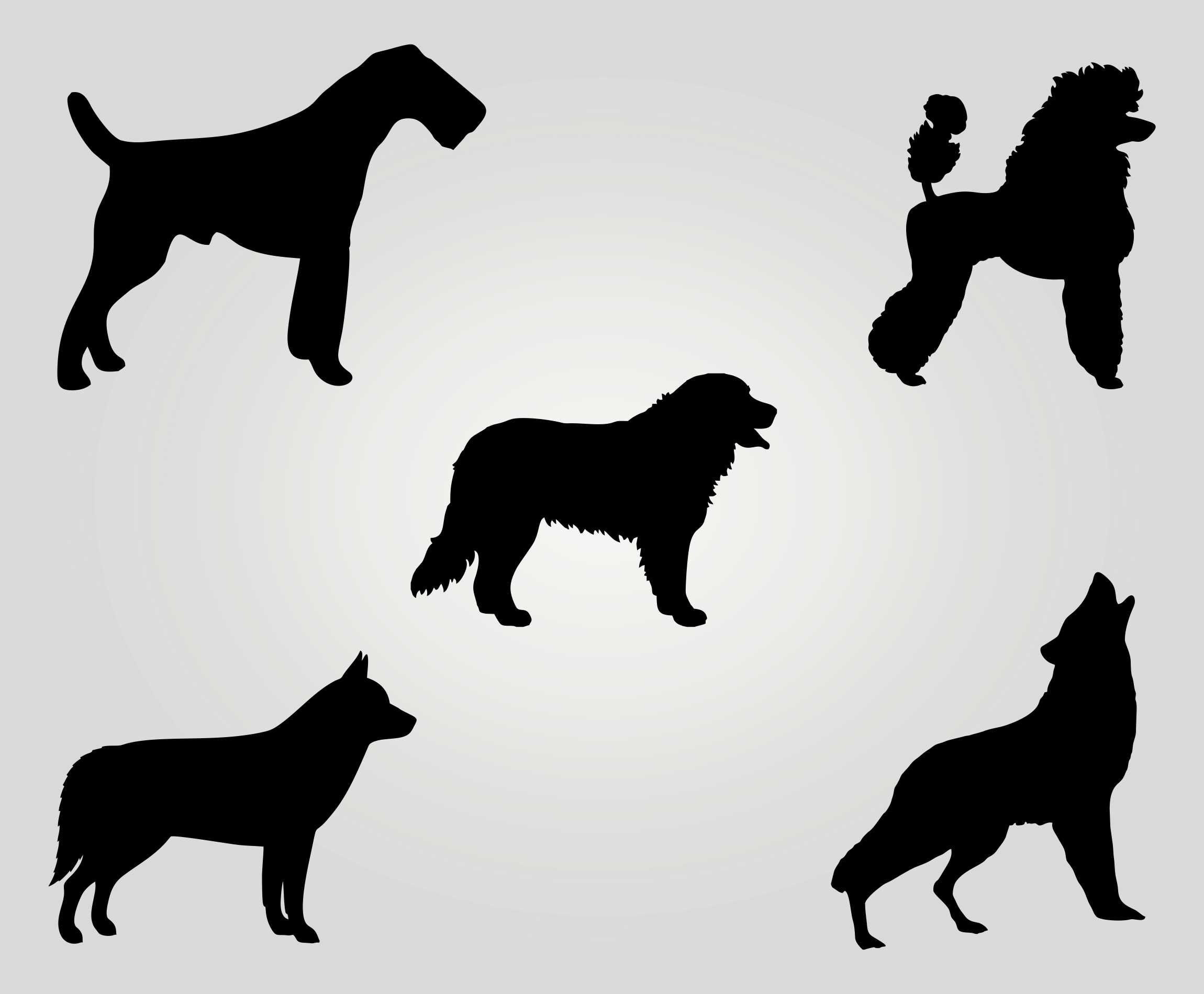 Dog SVG Bundle Dog Svg Dog Breeds Svg Dog Lover Svg | Etsy