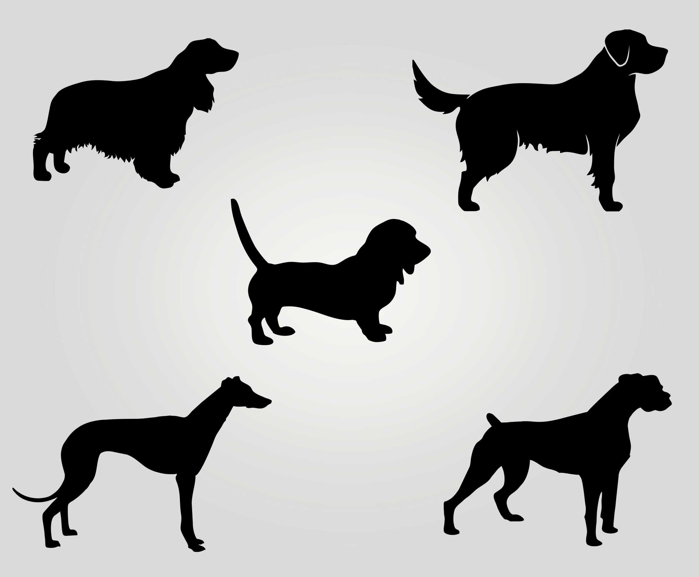 Dog SVG Bundle Dog Svg Dog Breeds Svg Dog Lover Svg | Etsy