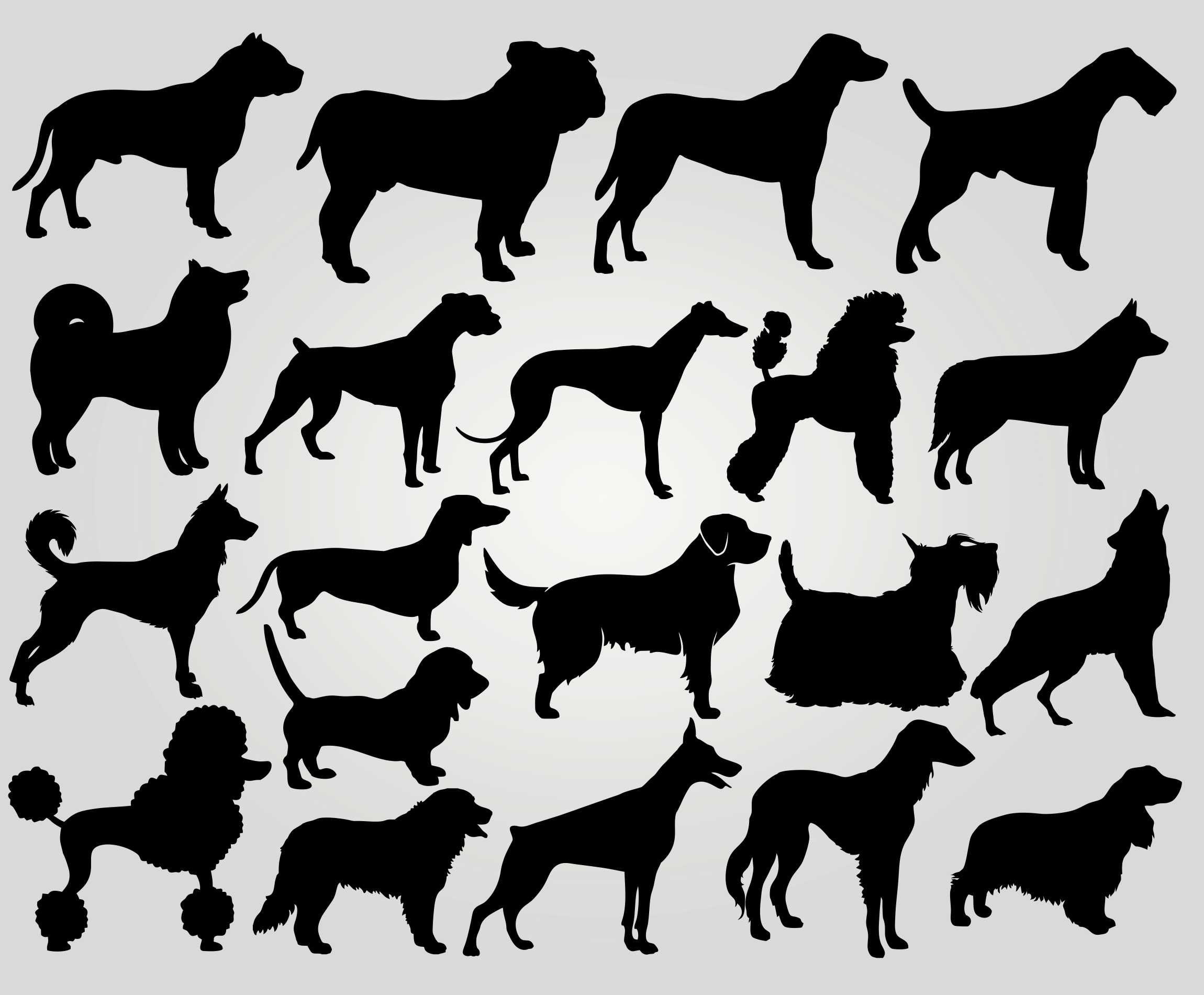 Dog SVG Bundle Dog Svg Dog Breeds Svg Dog Lover Svg | Etsy