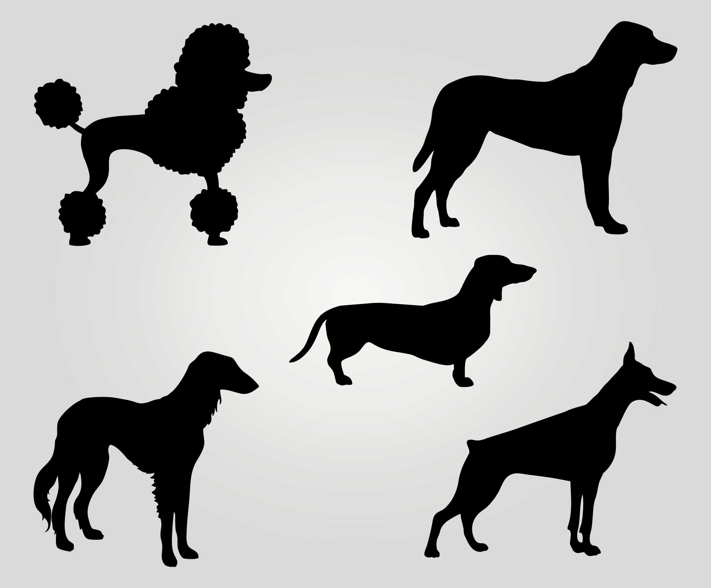Dog SVG Bundle Dog Svg Dog Breeds Svg Dog Lover Svg | Etsy