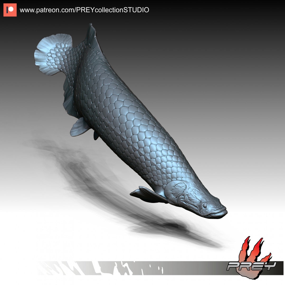Arapaima 3d Printed Fish - Resin Model Prey Collection Studio - Perfect ...