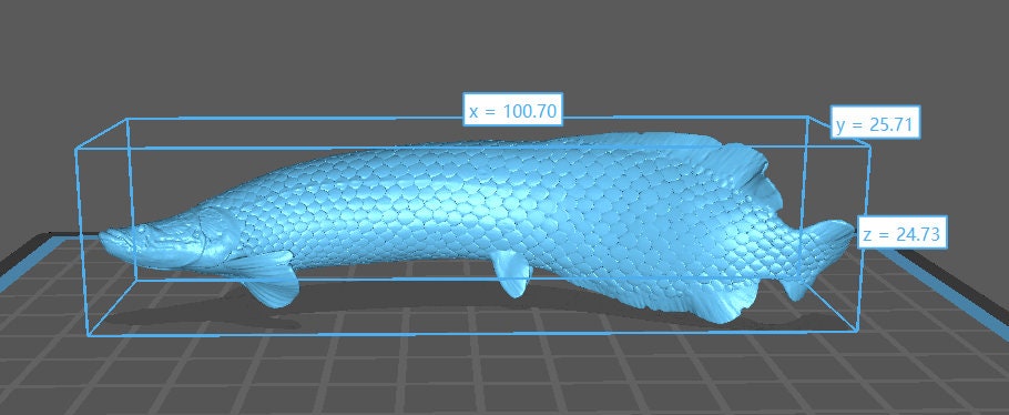 Arapaima 3d Printed Fish - Resin Model Prey Collection Studio - Perfect ...