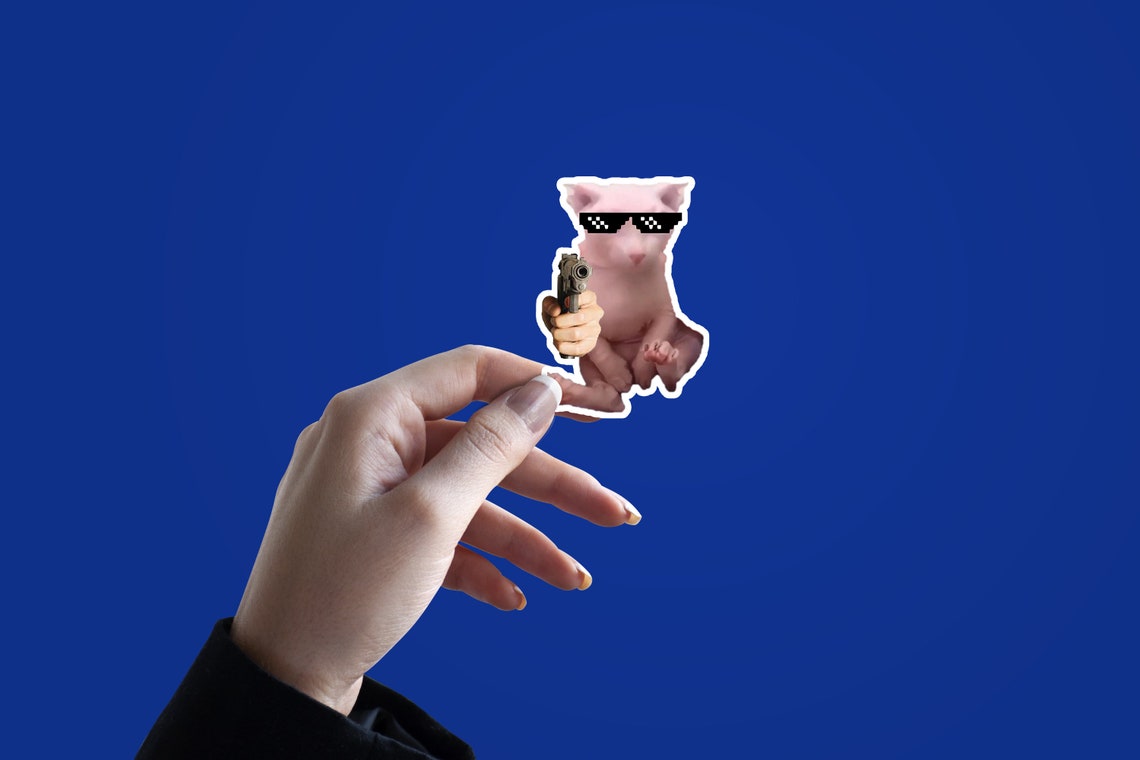 Bingus Cat Stickers Bingus Meme Stickers Bingus Sticker | Etsy