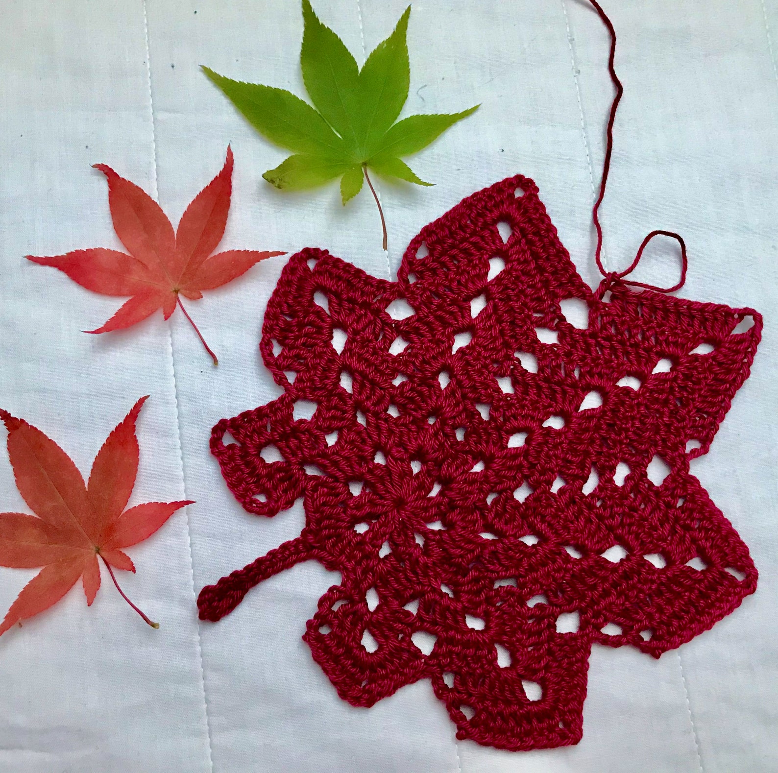 How to Crochet Happy Fall / Autumn Leaves - Any Colours, GREAT OFFER ...