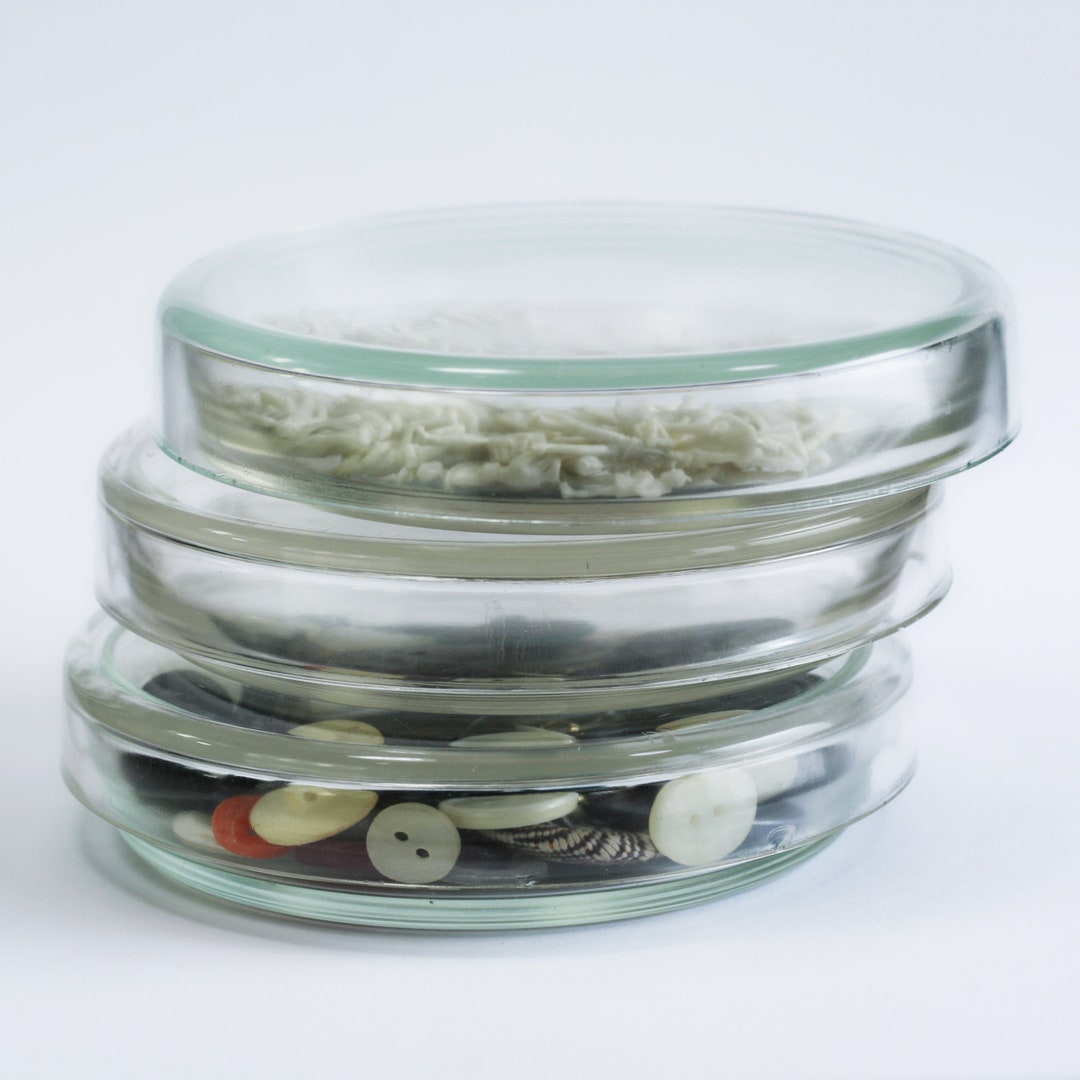 Vintage Glass Petri Dish | Soviet Union Lab Organizer Box - Etsy