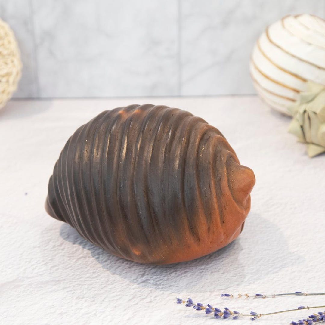 Santa Cruz Cachán Caracol Seashell Clay Sculpture - Etsy