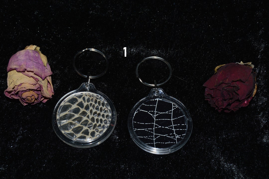 Real Spiderweb and Snakeskin Keychain Pair Circle READ - Etsy