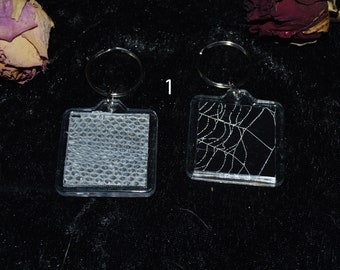 Real Spider Keychain - Etsy