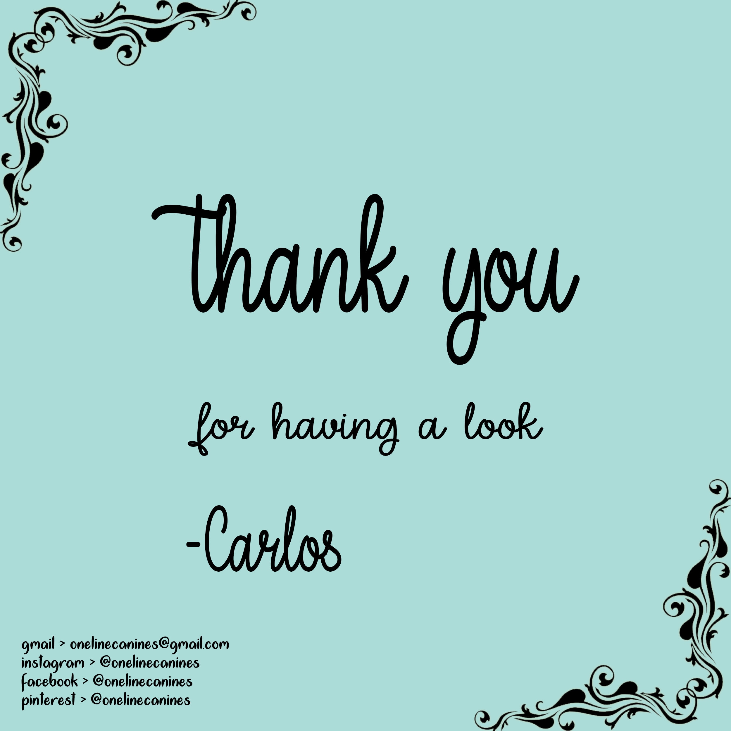 Husky One Line Art SVG Custom Dog Portrait Digital Download | Etsy