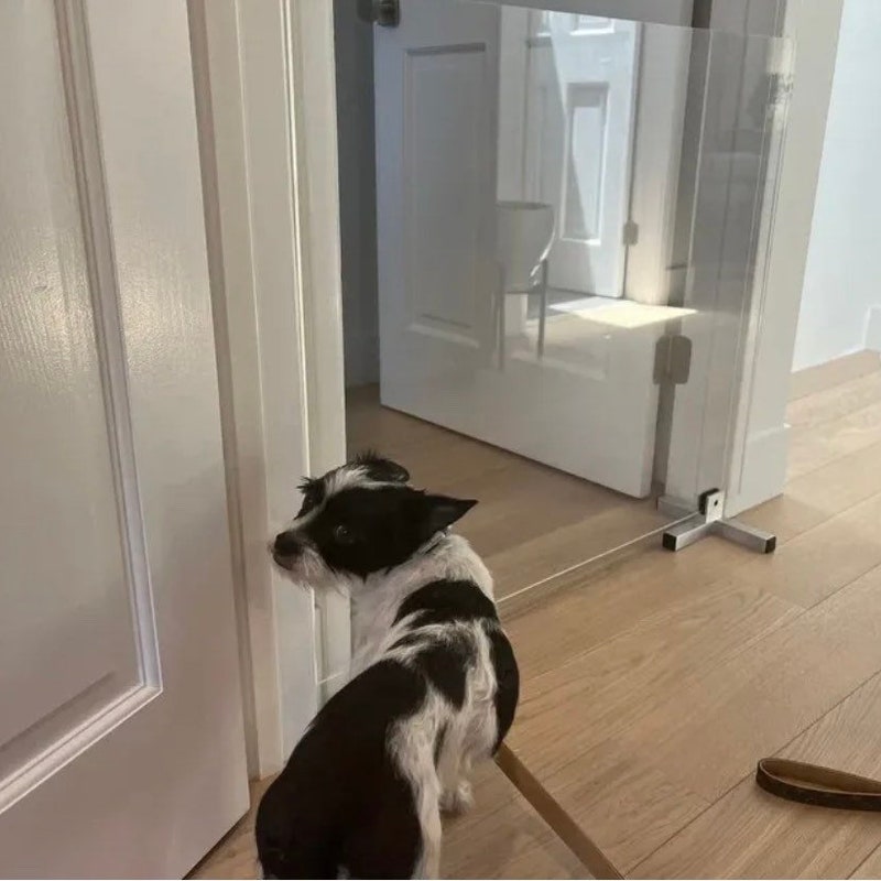 Pet Divider Panel - Etsy