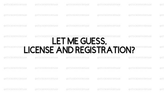 Let Me Guess License and Registration Window / Bumper | Etsy
