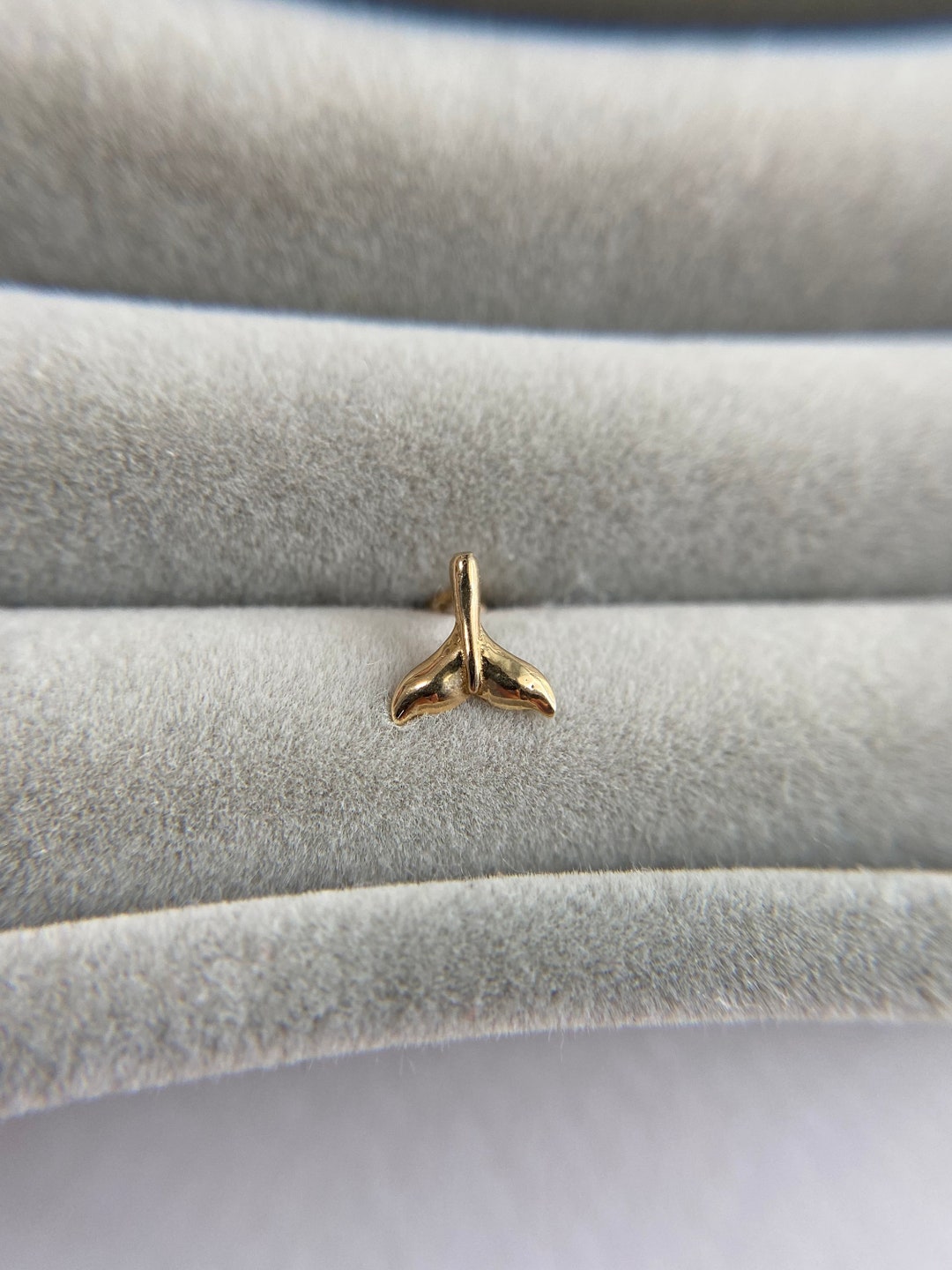10K Solid Gold Whale Tail Ear Piercing: Cartilage Stud - Etsy