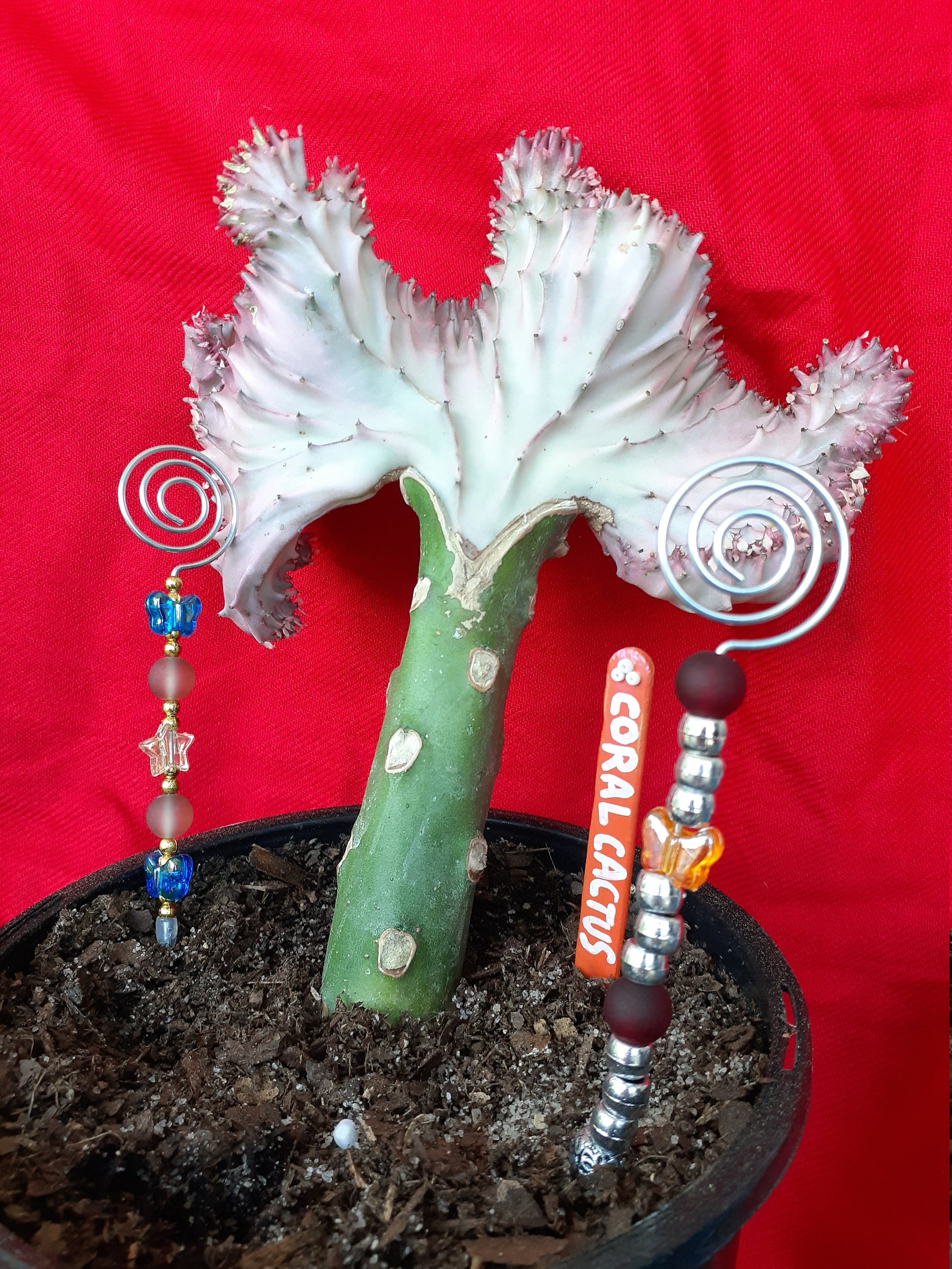 Beaded Plant Flower Garden Stakes Decorative Plant Pot Sticks Etsy