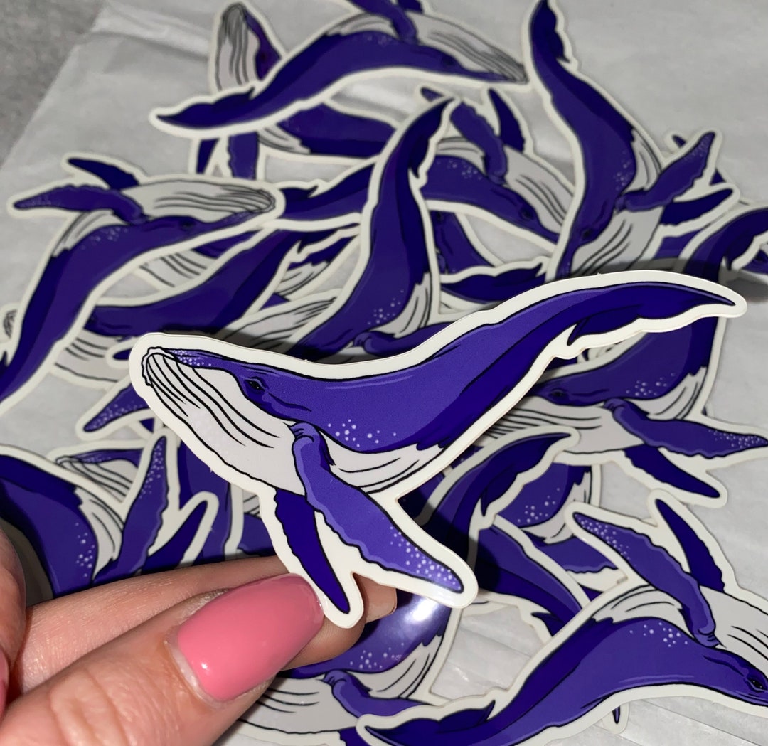 Blue Whale Sticker - Etsy