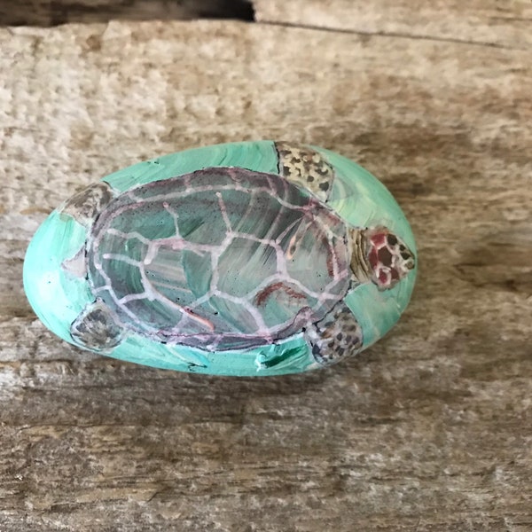 Painted Rocks Turtle - Etsy