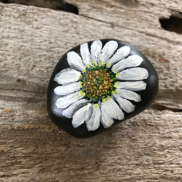 Daisies Painted Rock - Etsy
