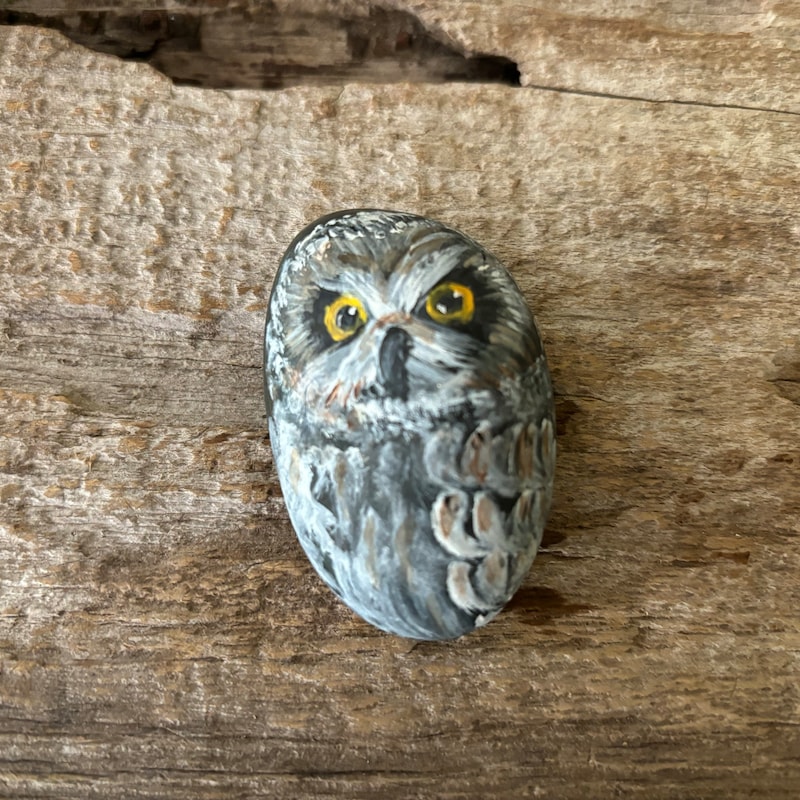 Painted Owl Rocks - Etsy
