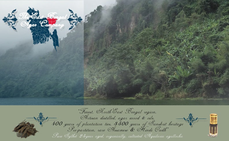 Ruh Khas - Green Vetiver, Royal Bengal - Bandarban Prakritik Oil - Etsy