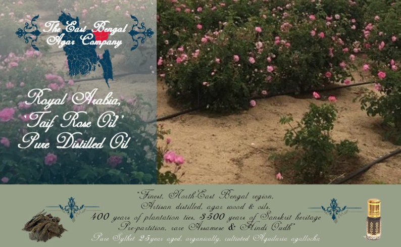 Taif Rose Oil/wardh Taifi, Royal Arabia - Pure Distilled Rose Oil From ...