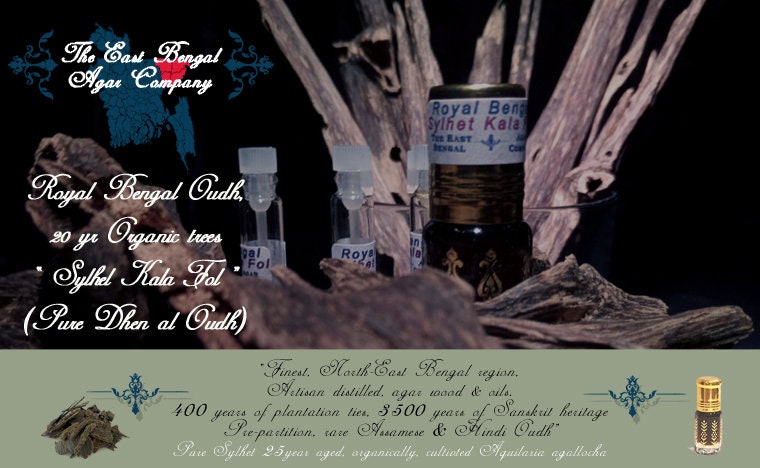 Kala Fol Oudh 25 Yr Organic Trees Royal Bengal pure Dhen - Etsy