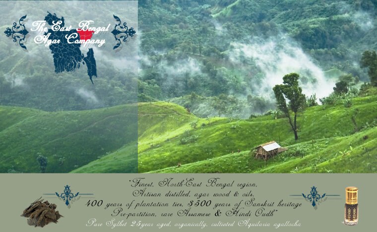 Ruh Khas - Green Vetiver, Royal Bengal - Bandarban Prakritik Oil - Etsy
