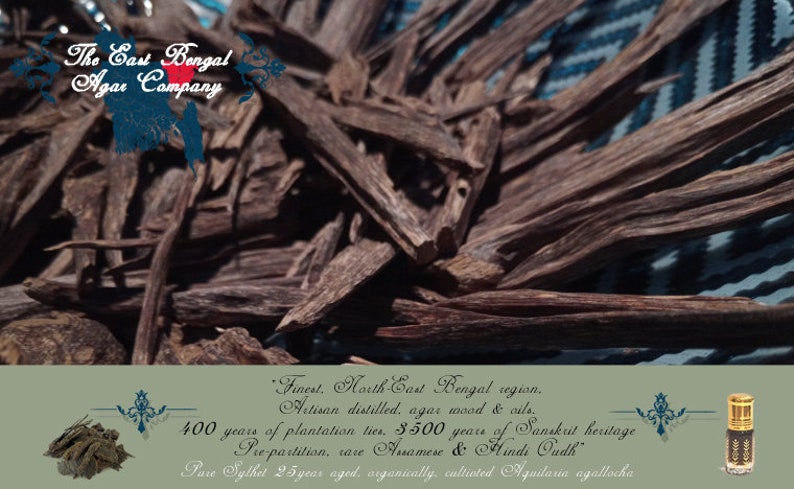 Agarwood Sultan A - 50 Year Tree. Royal Bengal Oudh “sylhet/assam Belt ...