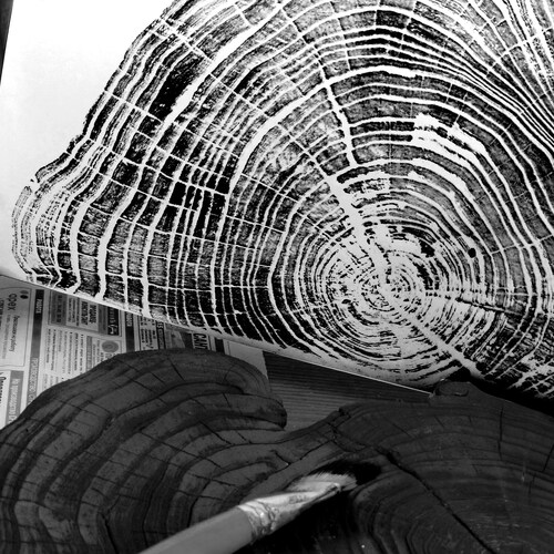 Wood Art Tree Ring Print Handmade | Etsy