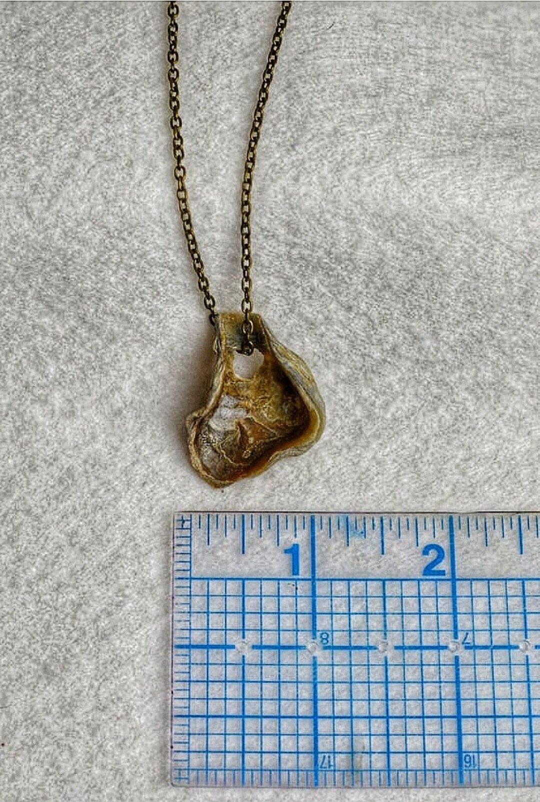 Peanut Butter Glob Shell Necklace ALL PROCEEDS DONATED - Etsy