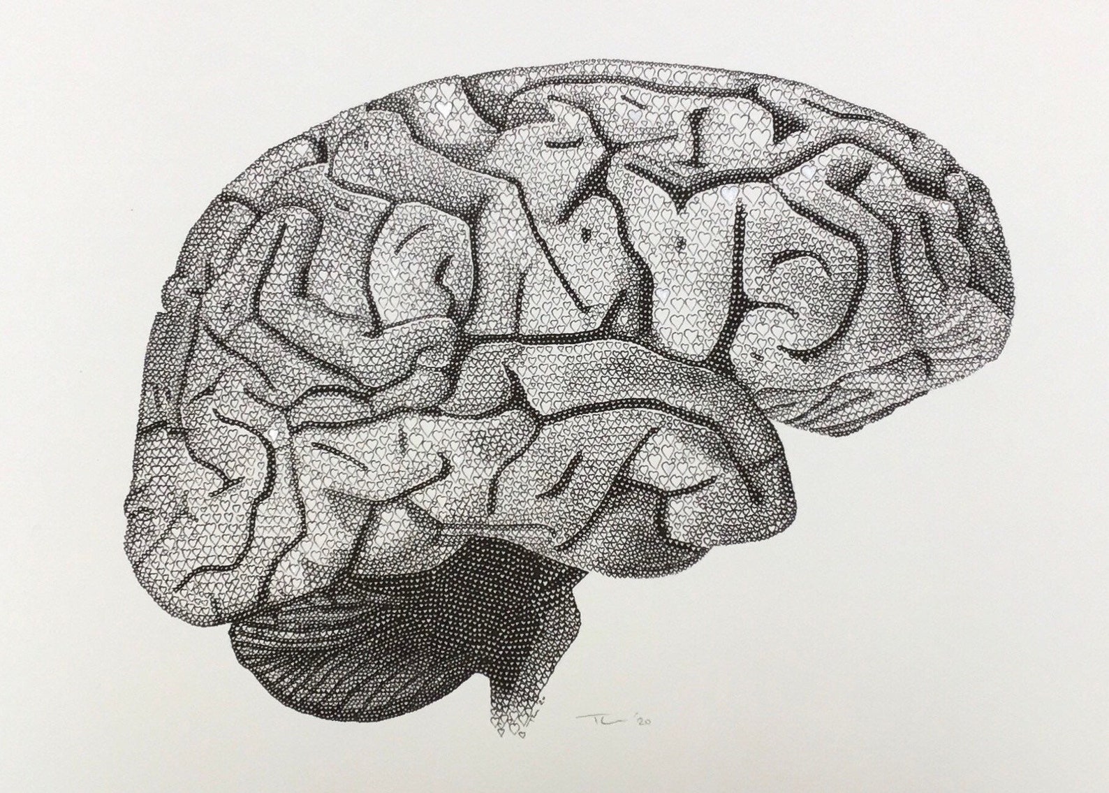 Hand Finished Art Print the Brain From Original Ink Drawing by Tim ...