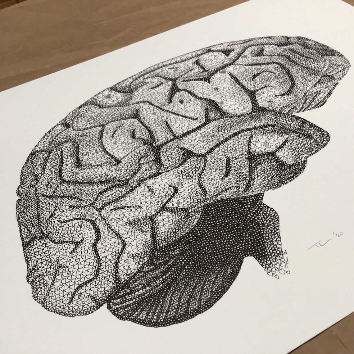 Hand Finished Art Print the Brain From Original Ink Drawing by Tim ...