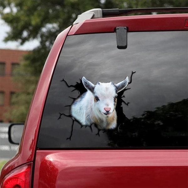Pygmy Goat - Etsy