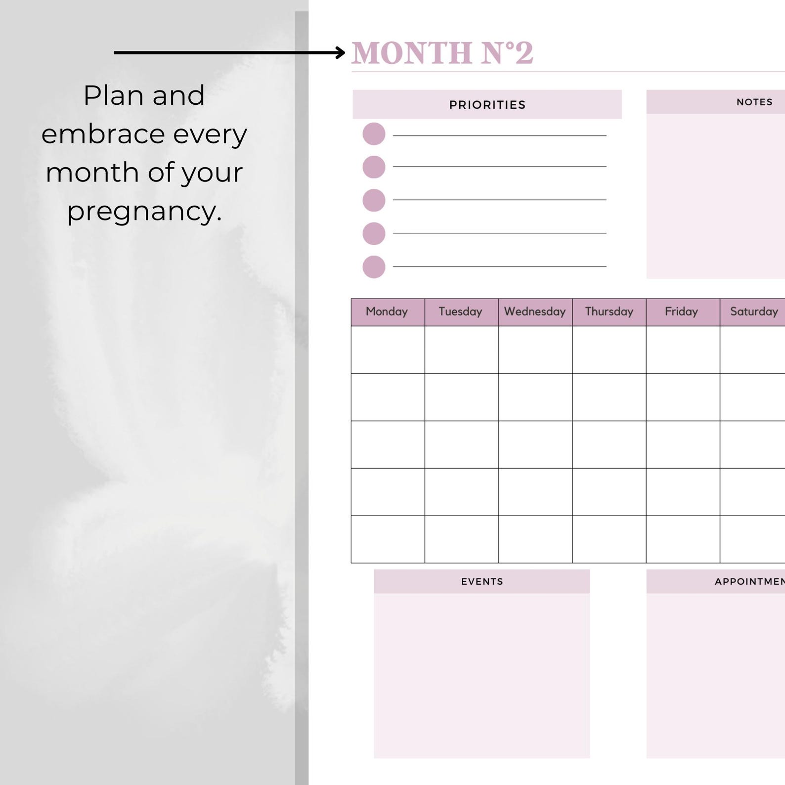 Pregnancy Planner Printable for First Time Moms, Pregnancy Journal for ...