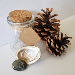 Healing Rejuvenate Restore Spell Kit Includes Flowers, Herbs, Crystals ...