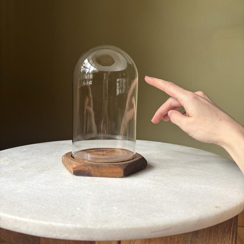 Glass Cloche Oddities - Etsy