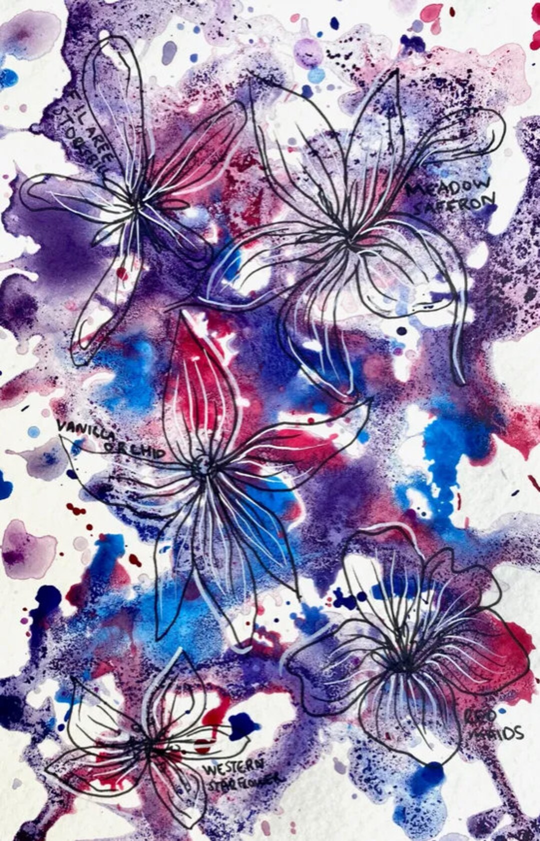 Labeled Watercolor Flowers - Purple, Red and Blue - Etsy