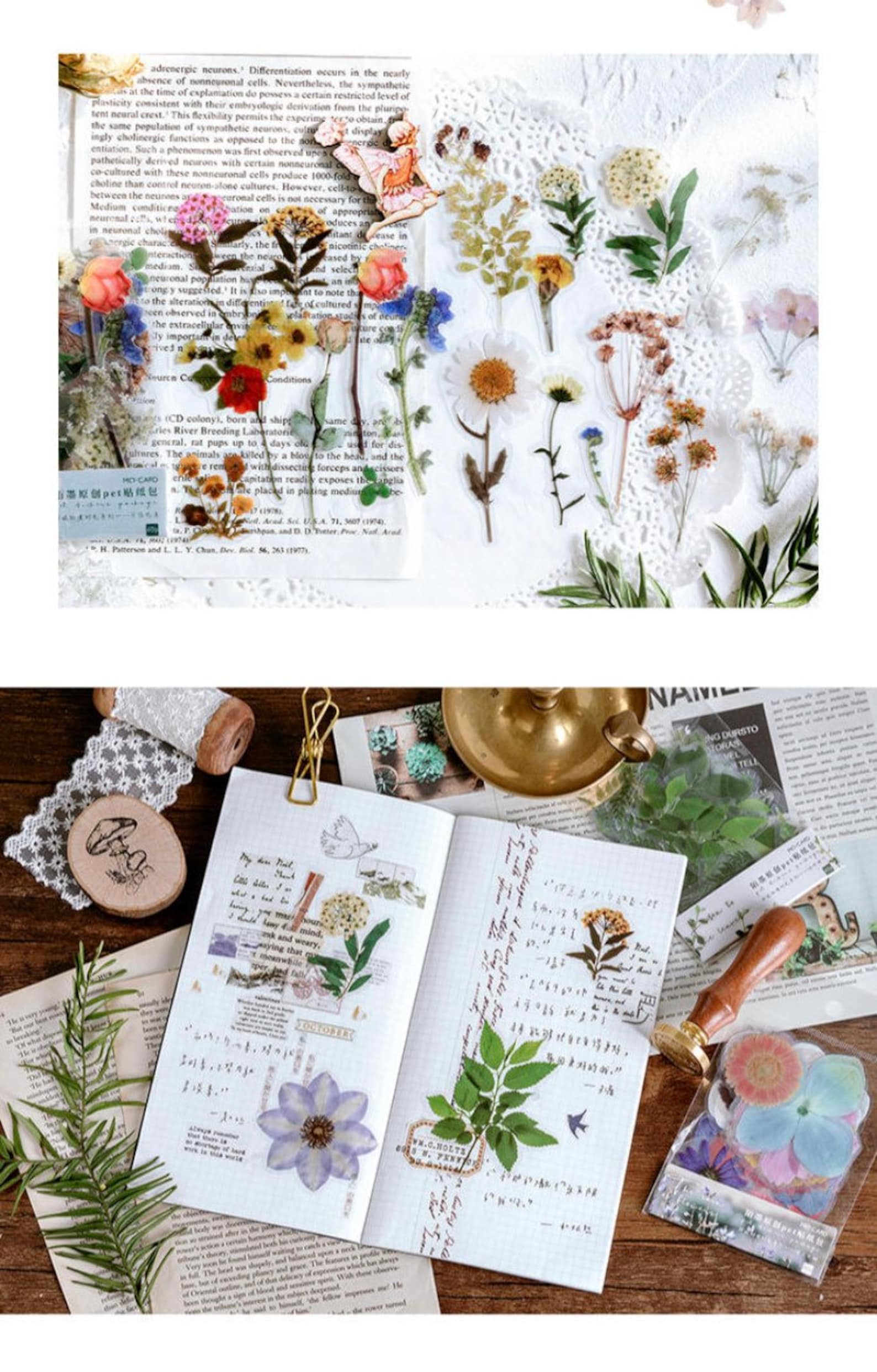 40pcs Vintage Scrapbooking Sticker Pack Die Cut Stickers | Etsy