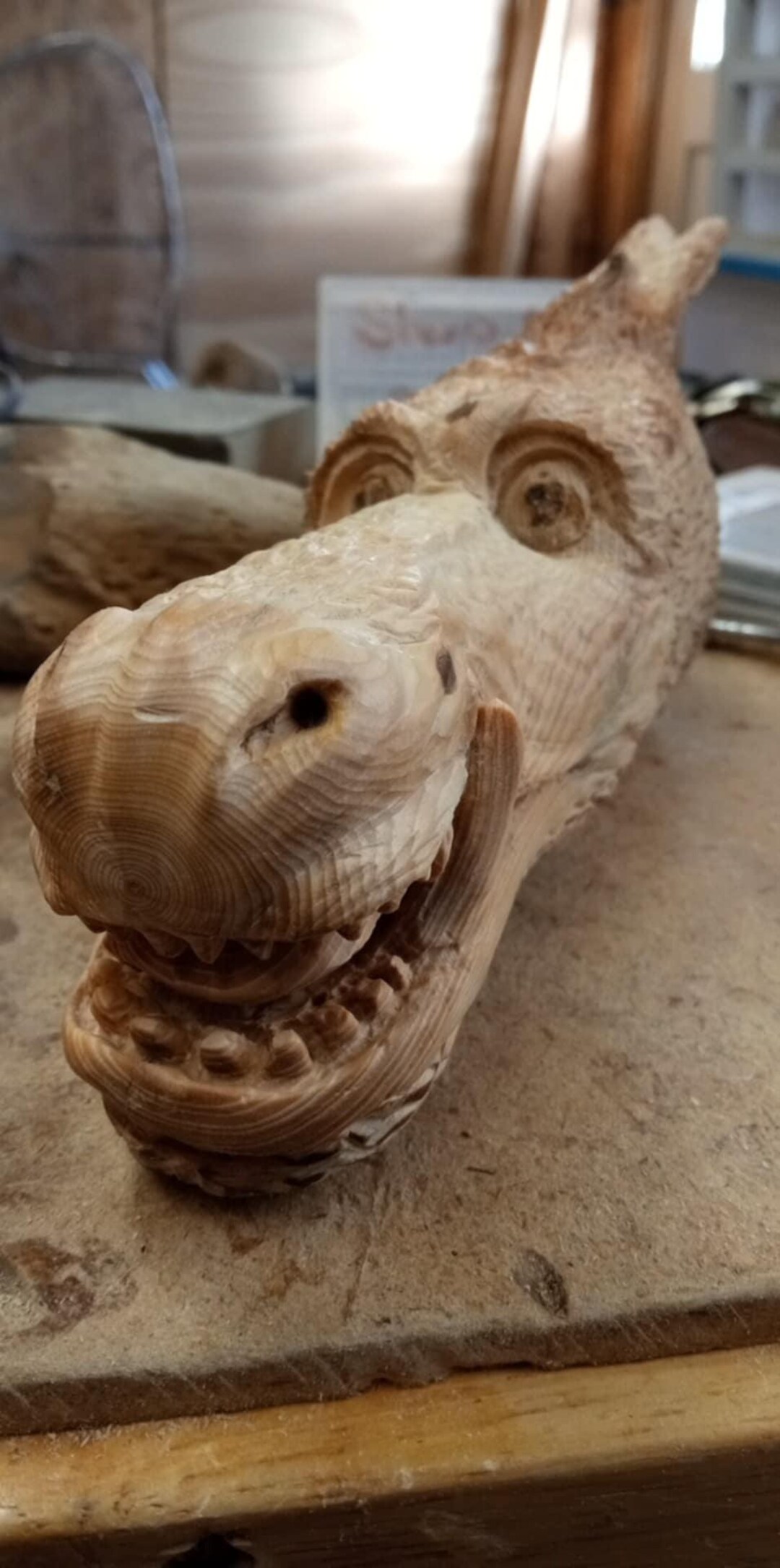Custom Skulls, Critters and More - Etsy