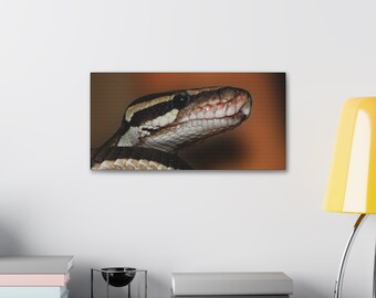 Ball Python Canvas - Etsy