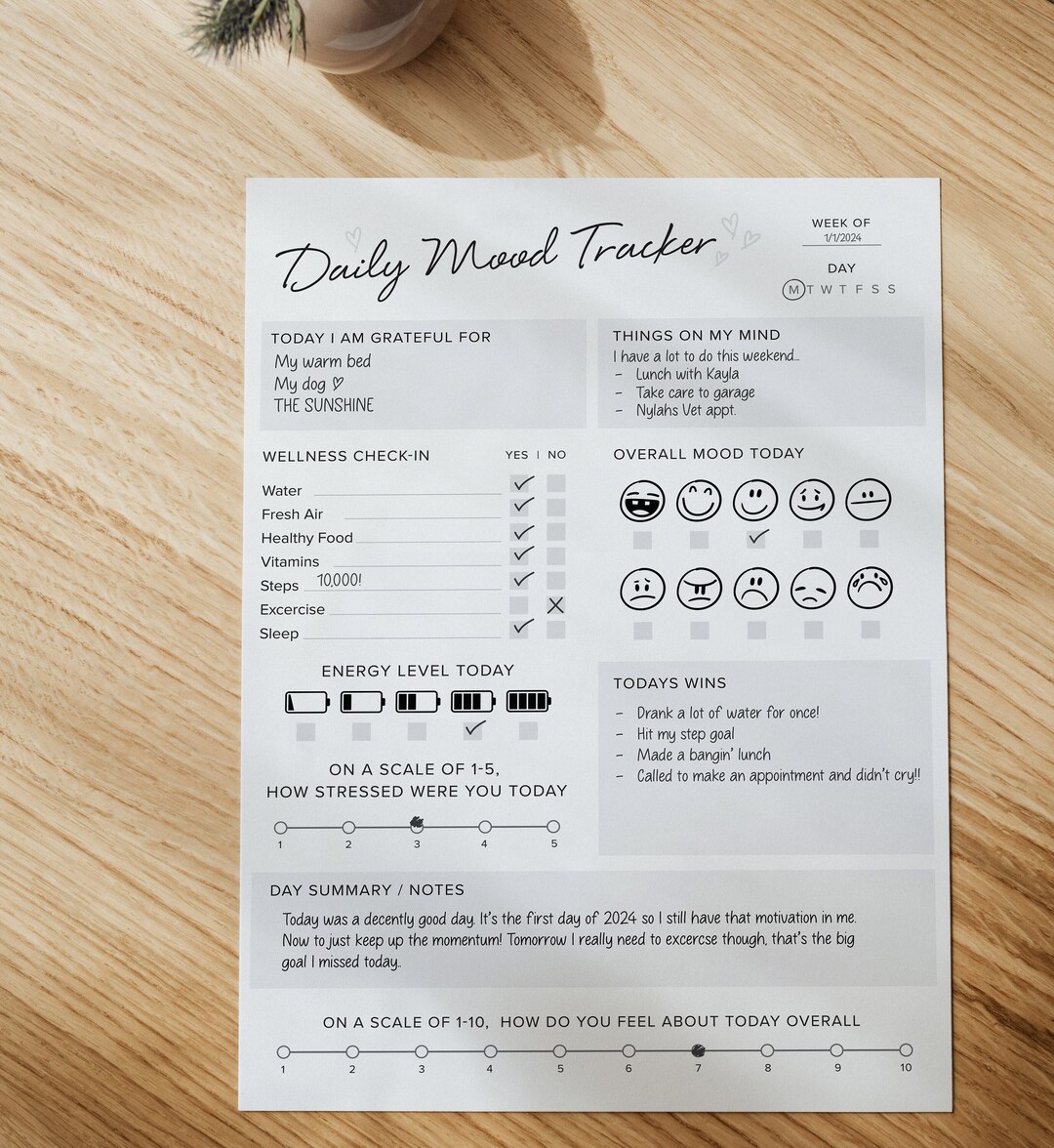 Goodnotes Printable Mood Tracker Habit Tracker Routine Habit Tracker ...