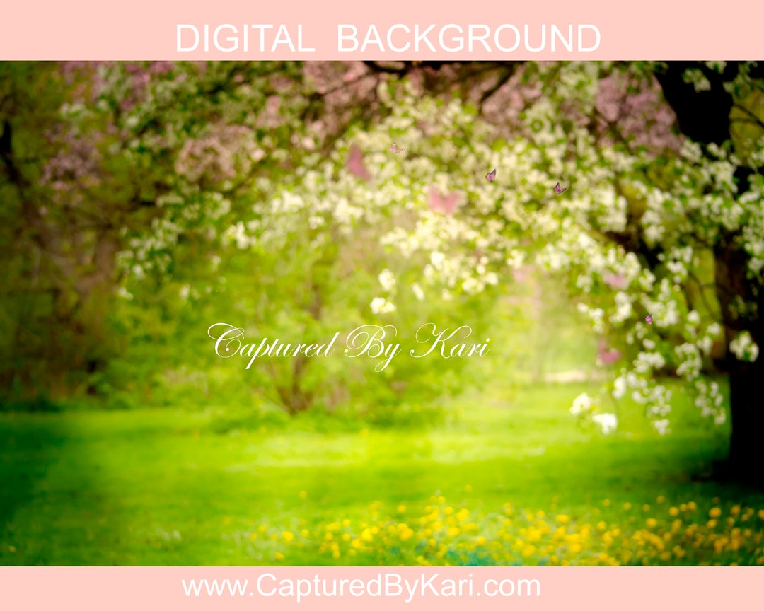 Spring Blooming Trees Digital Background - Etsy