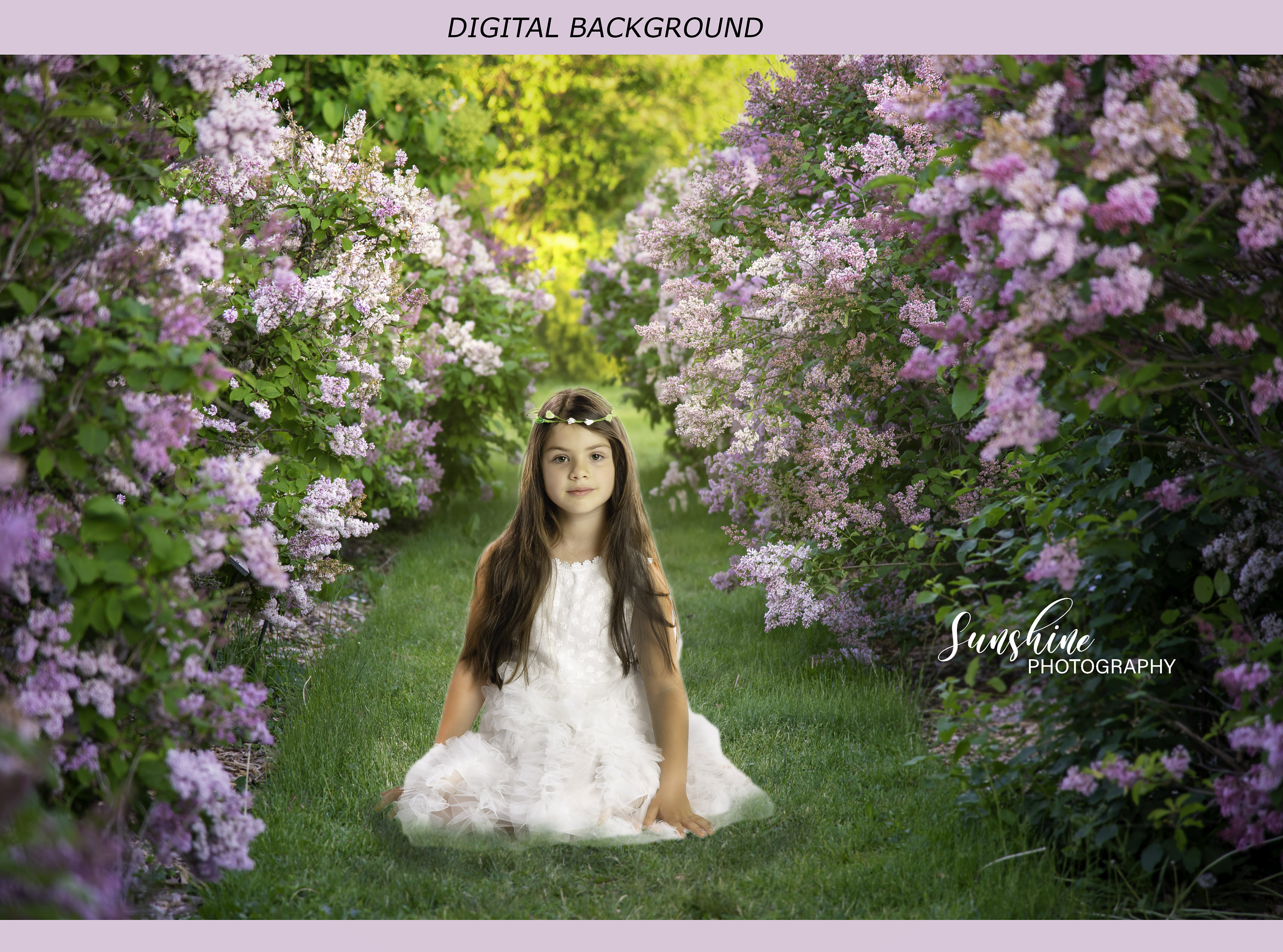 Lilac Garden Digital Background - Etsy