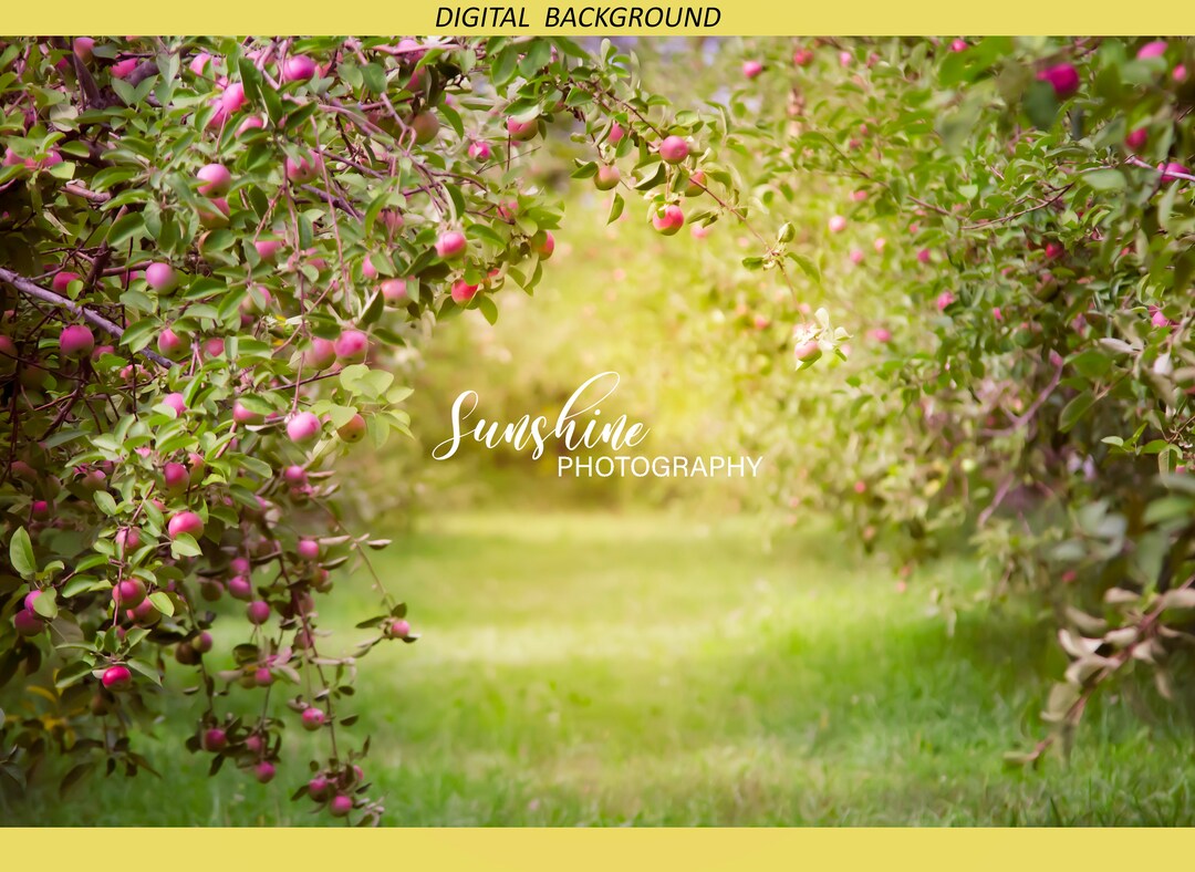 Apple Orchard Digital Background - Etsy
