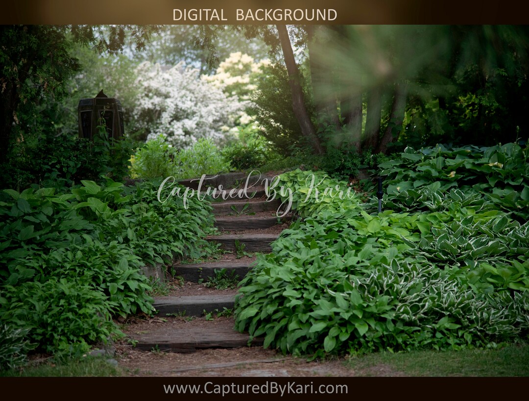 Garden Stairs Digital Background - Etsy