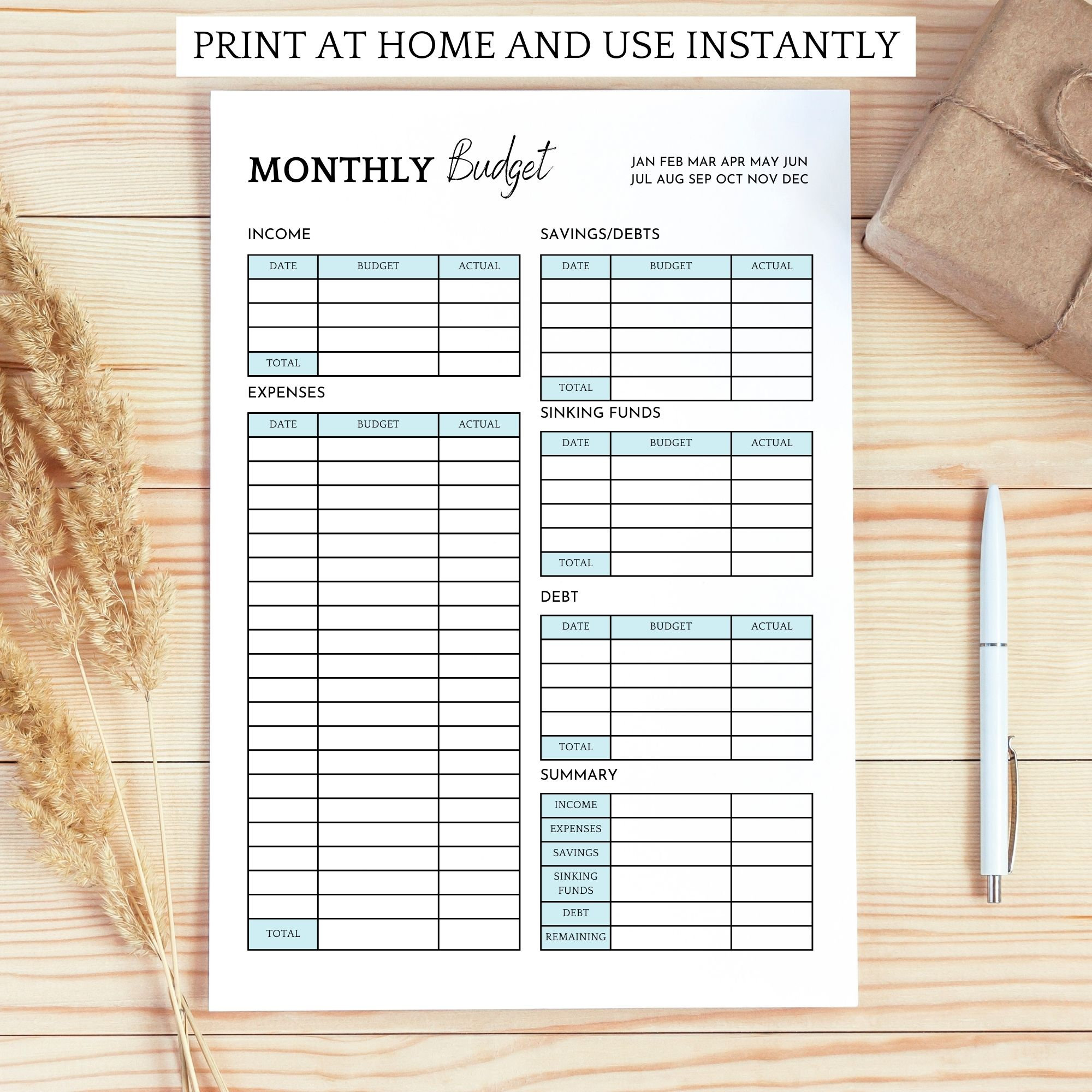 MONTHLY Budget Overview Template Printable, Budget Binder, Budget ...