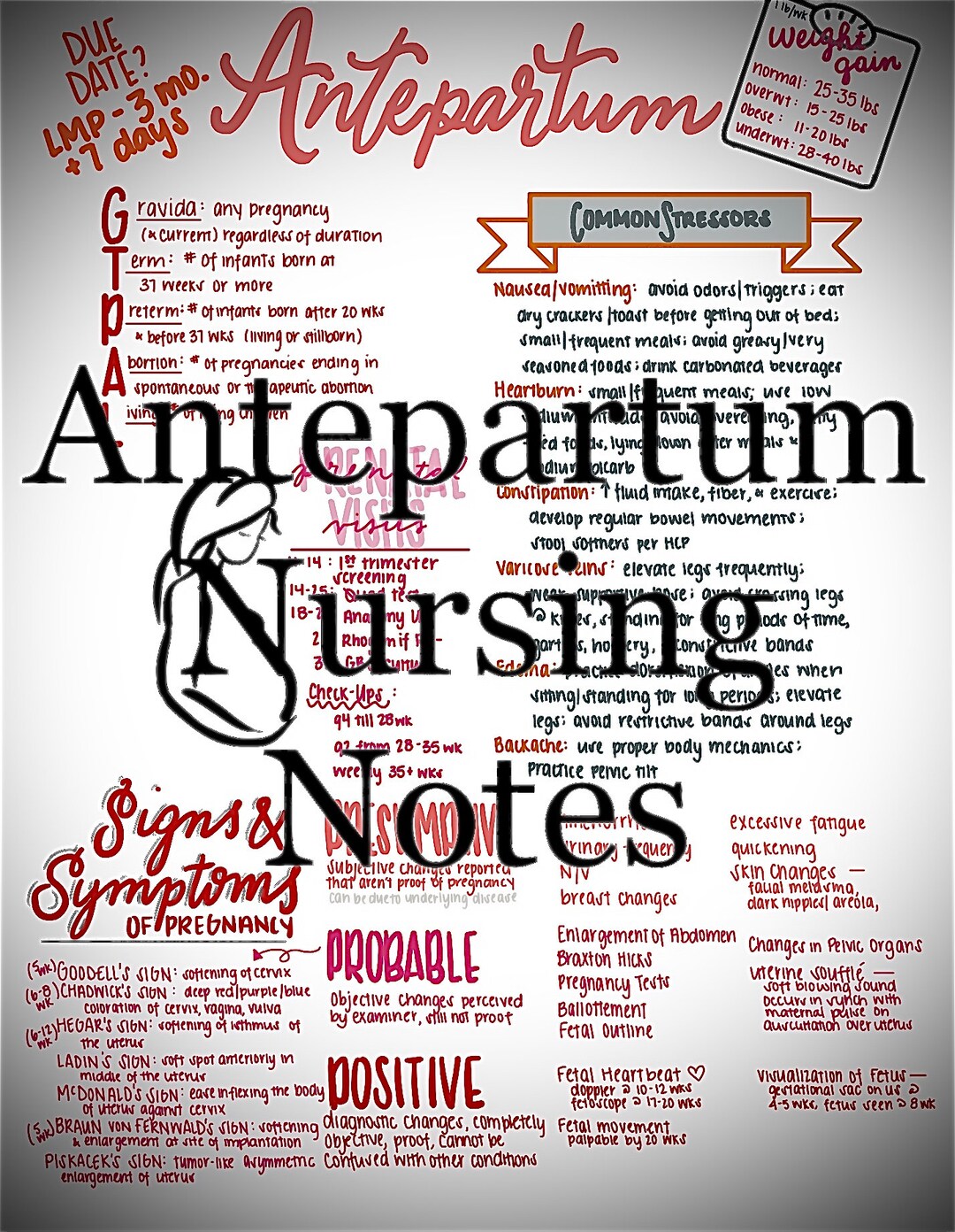 Nursing Notes | Antepartum | Nursing School | NCLEX | OB | Maternity ...