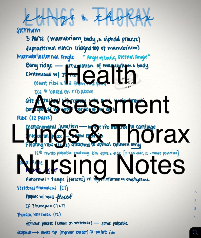 Nursing Notes | Health Assessment | Lungs & Thorax | Nursing Student ...