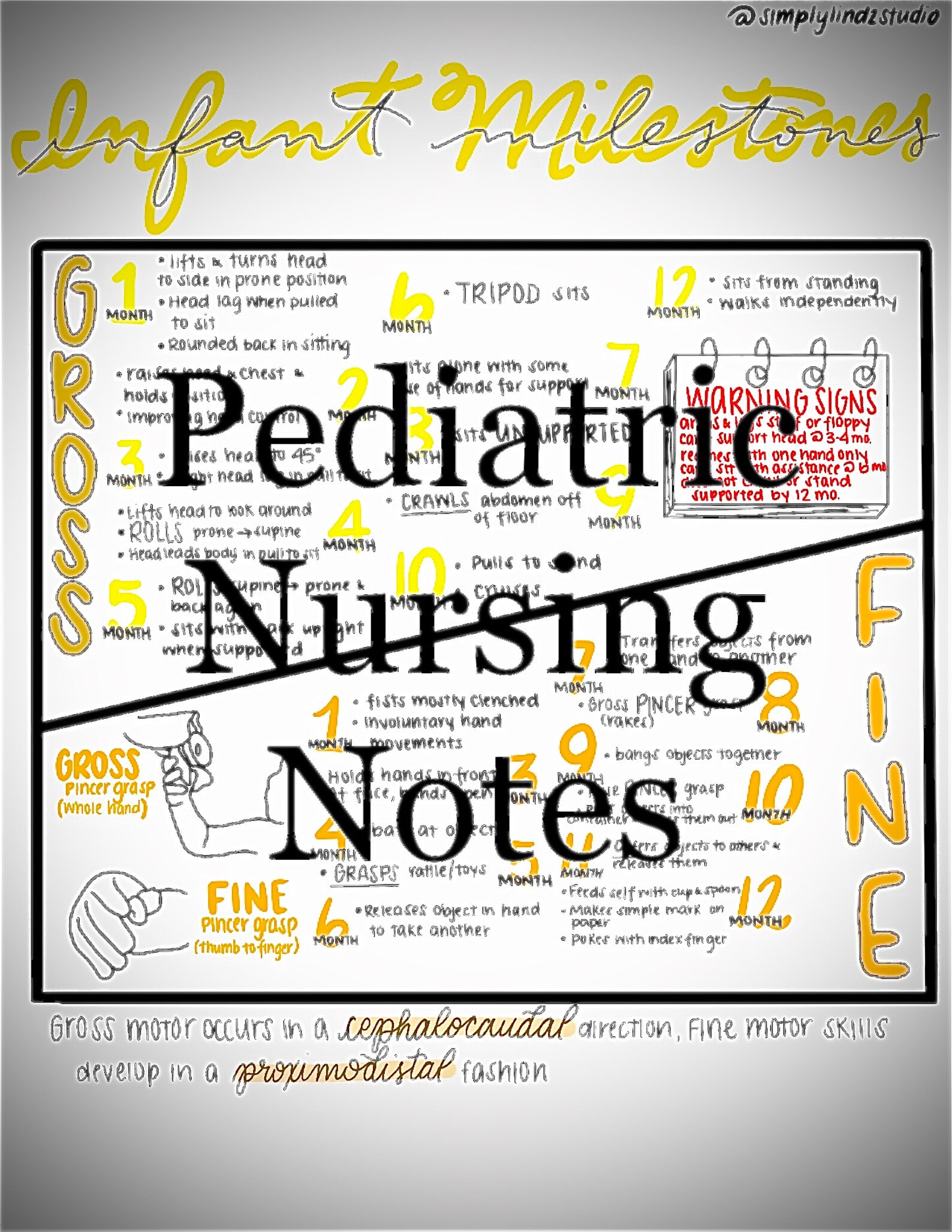 Nursing Notes | Pediatrics | Infant Milestones | Nursing School | NCLEX ...